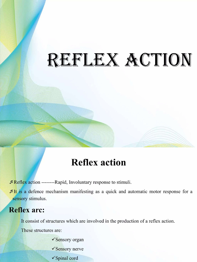 Reflex Action | PDF