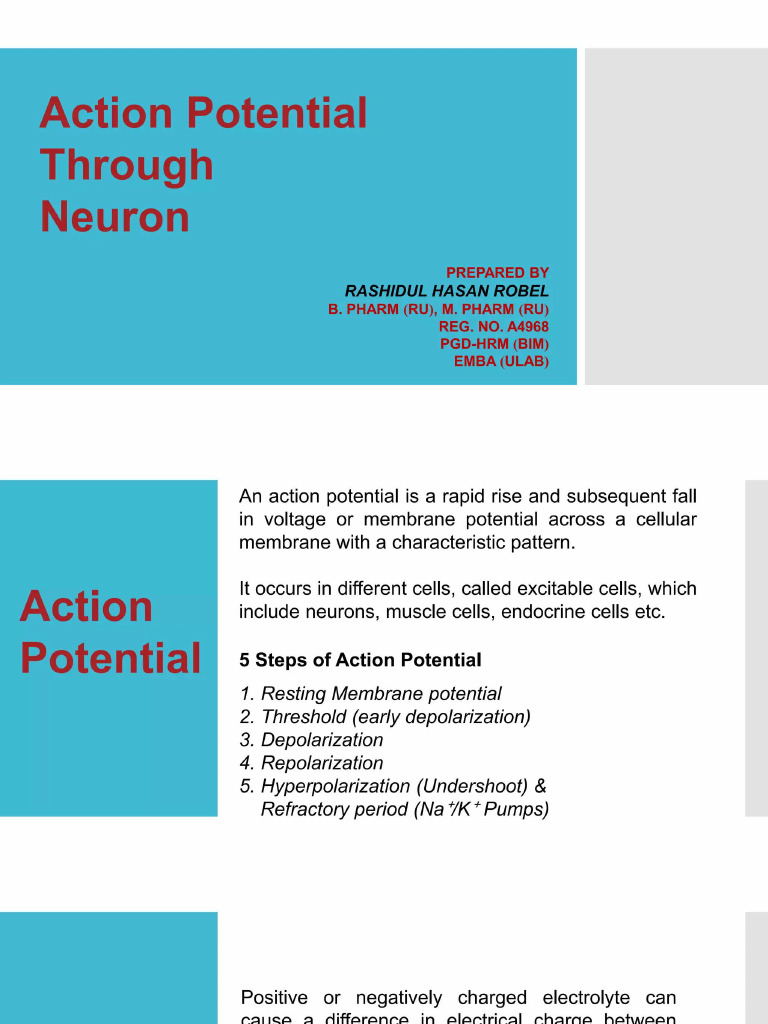 Action Potentials | PDF