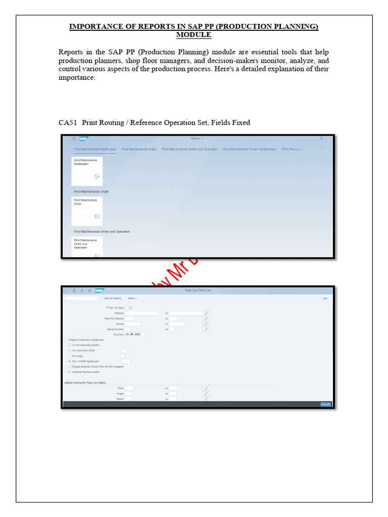 Importance of SAP PP Reports | PDF