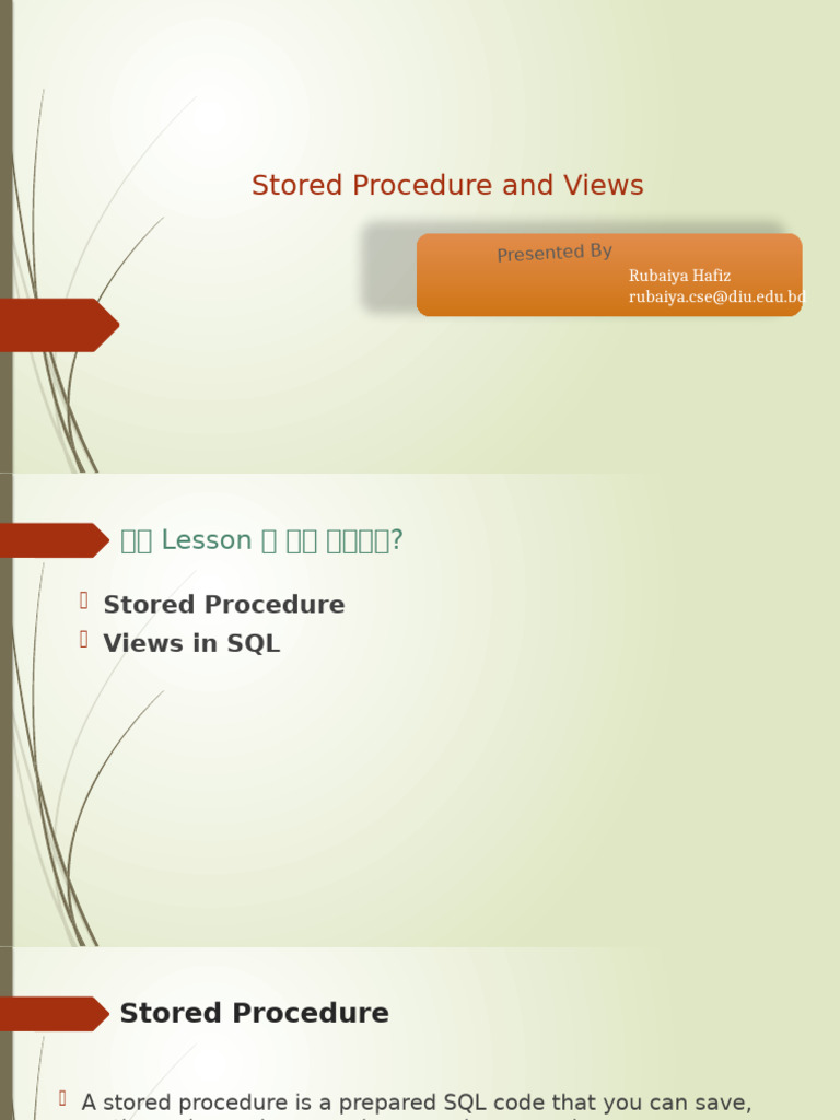 Stored Procedure Views | PDF | Programming Paradigms | Software Engineering