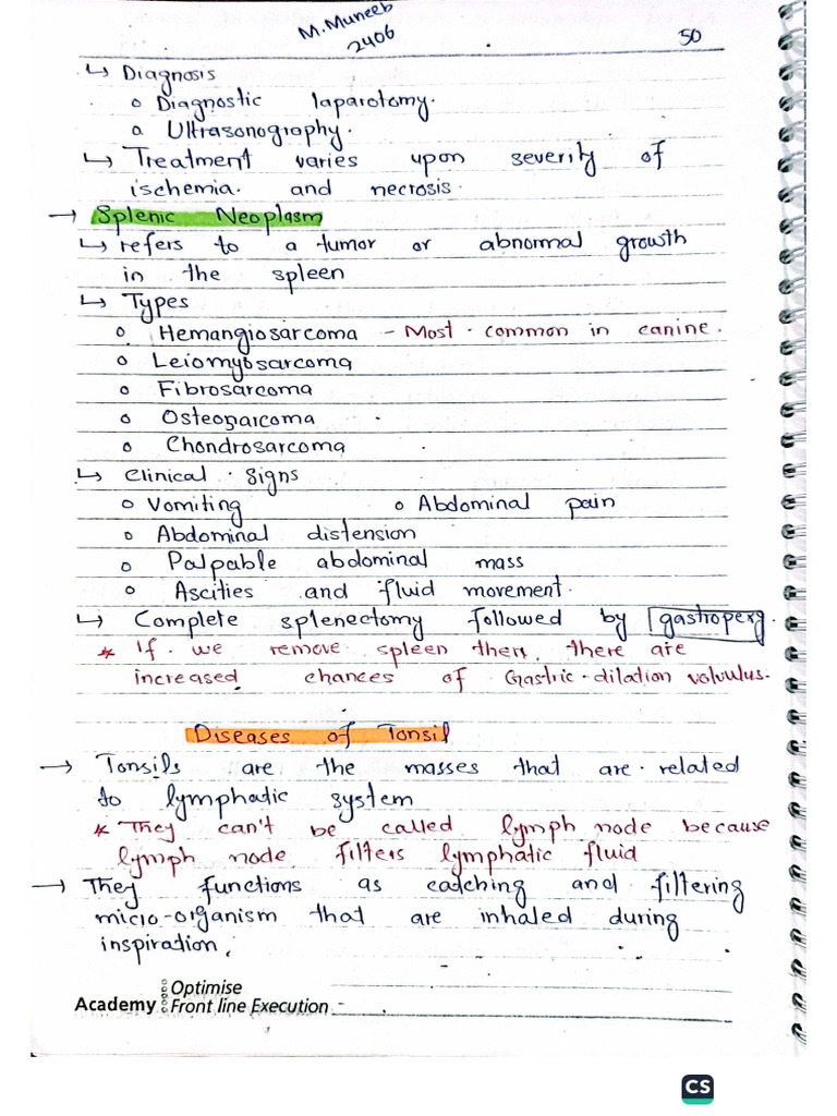 Small Animal Surgery Final | PDF