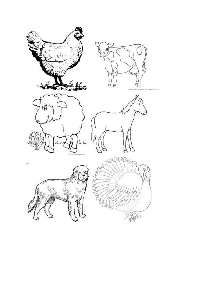 Farm Animals | PDF