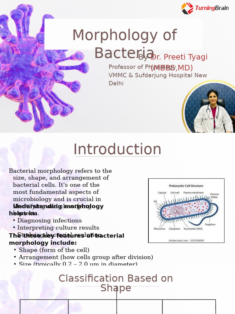 Bacterial Morphology Overview | PDF | Bacteria | Microbiology