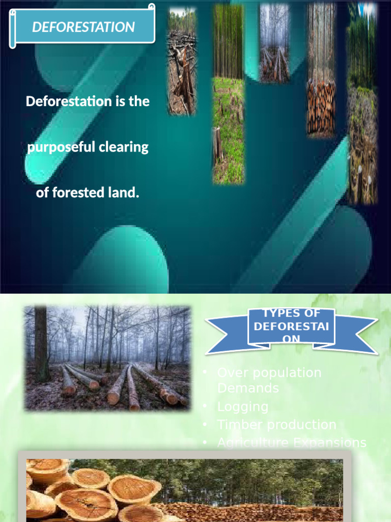 Deforestation Ppt.. | PDF