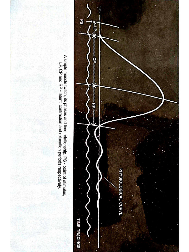 Amphibian Practical Graphs | PDF