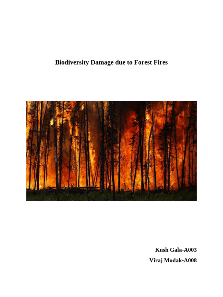 Biodiversity Damage Due To Forest Fires | PDF | Wildfire | Soil