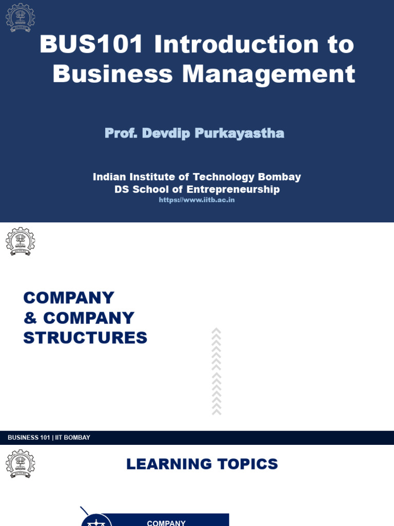 Introduction To Lesson - Company and Structures | PDF