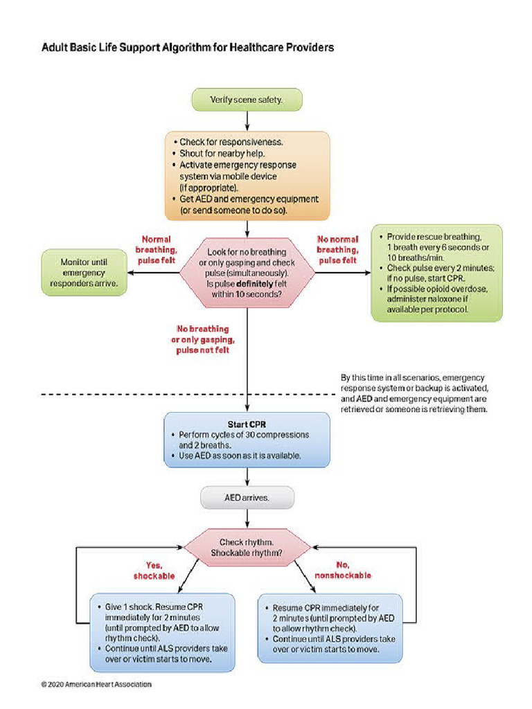 Algorithm of Adult Bls | PDF