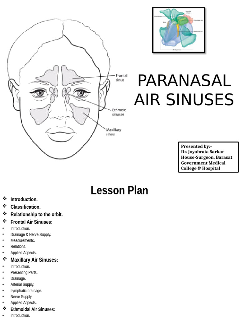 Paranasal Air Sinuses Anatomy DrJoy | PDF | Human Nose | Human Anatomy