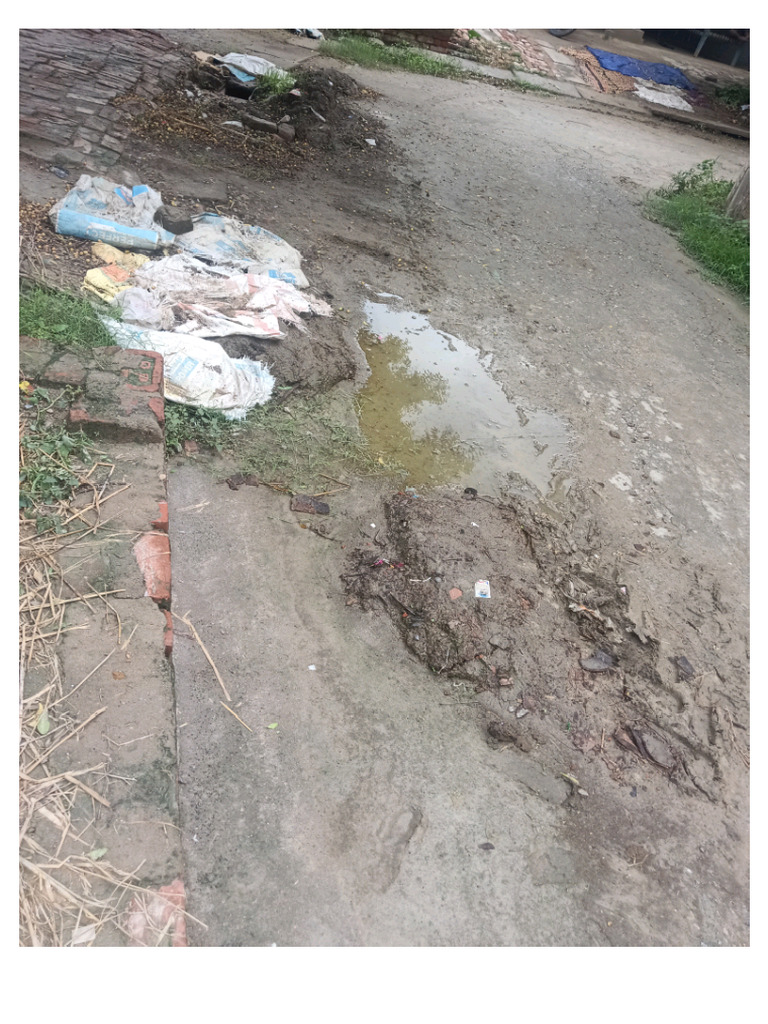 PDFGallery 20250702 090648 | PDF