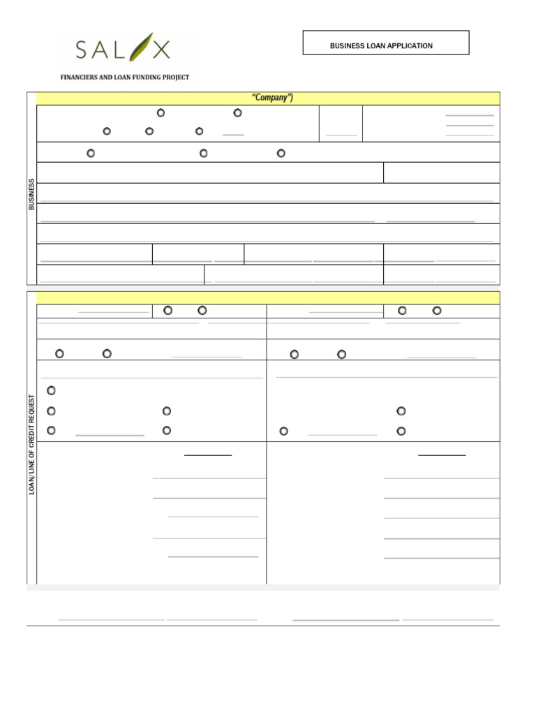 SALIX Business Loan Application Form-1 | PDF | Credit | Finance & Money ...