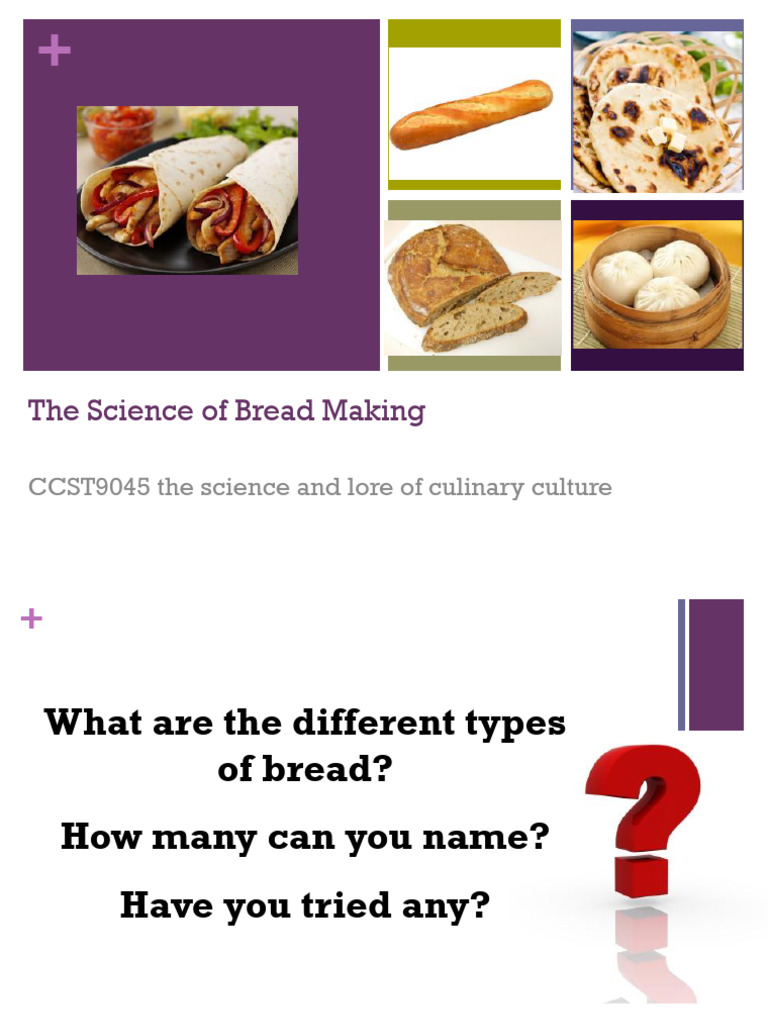 Understanding Bread Science CCST9045 | PDF | Breads | Baking Powder