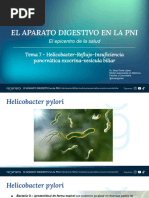 HEPAGRAS | PDF | Hígado | Bilis