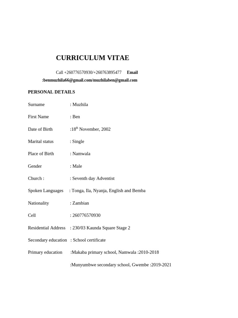 Ben's Curriculum Vitae | PDF