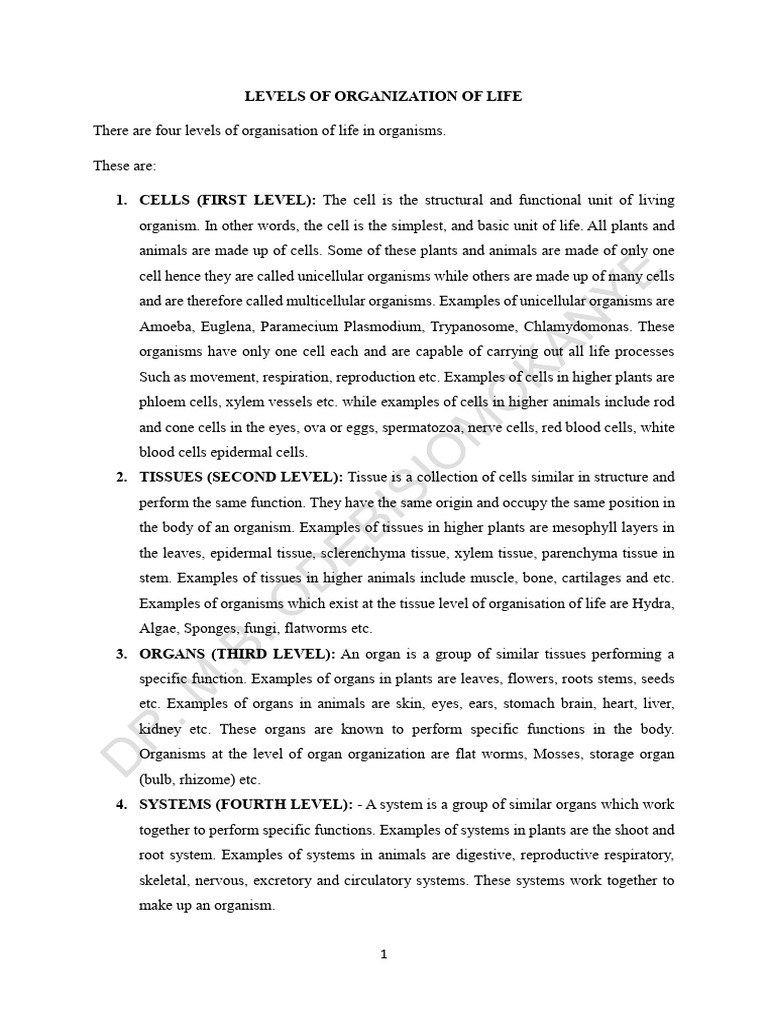 Four Levels of Life Organization | PDF | Tissue (Biology) | Cell (Biology)