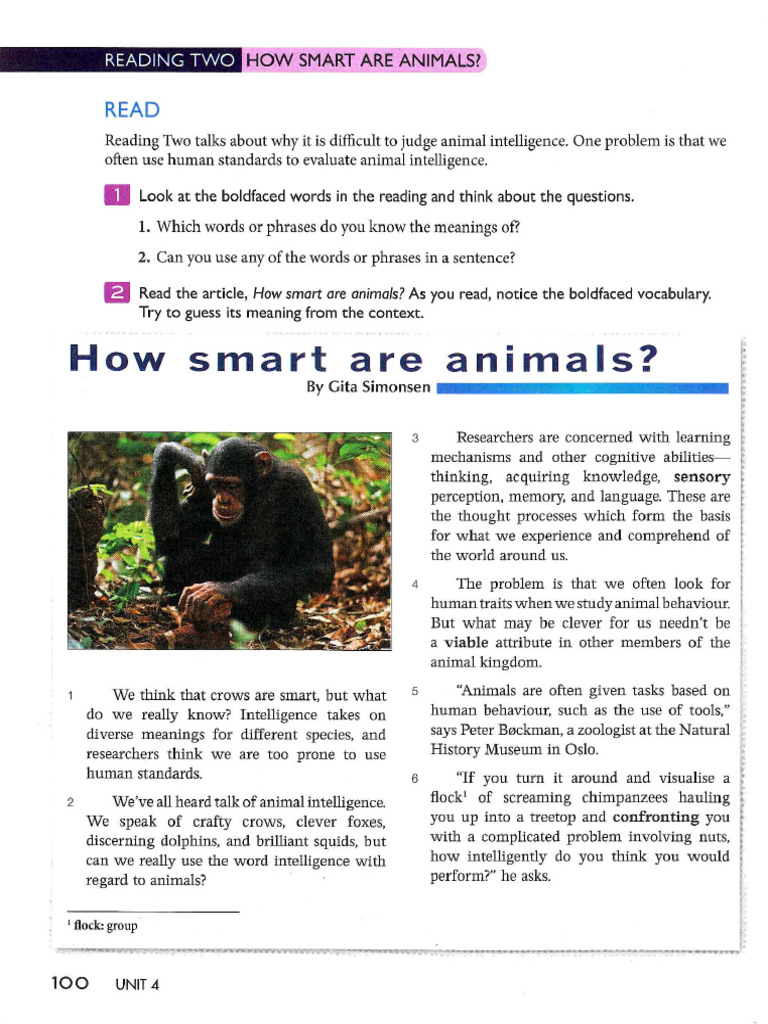Reading Unit 4 Exercise 2 | PDF
