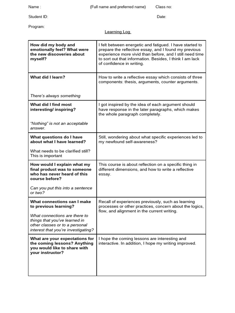 Reflective Essay Learning Log Insights | PDF