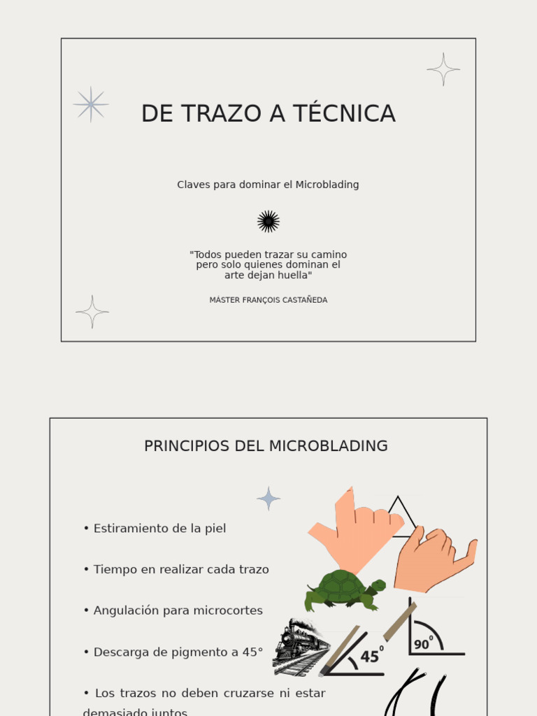 Masterclass de Trazo A Técnica Microblading | PDF | Piel