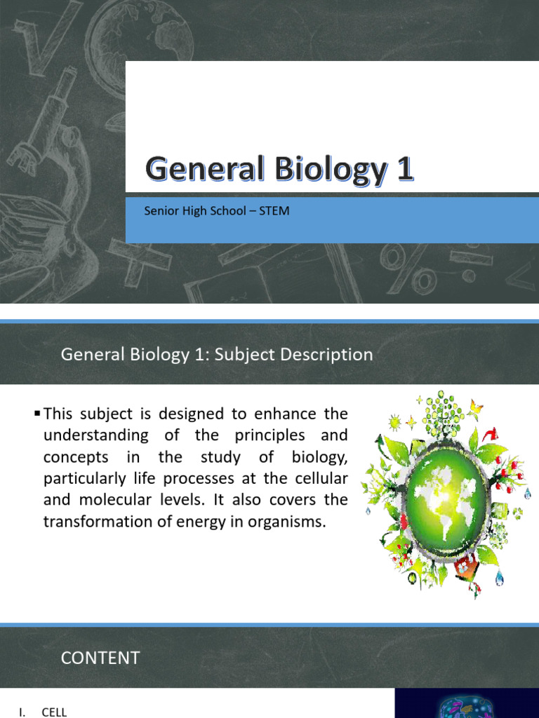 1 Cell Structure Function and Theory Stud | PDF | Chloroplast ...