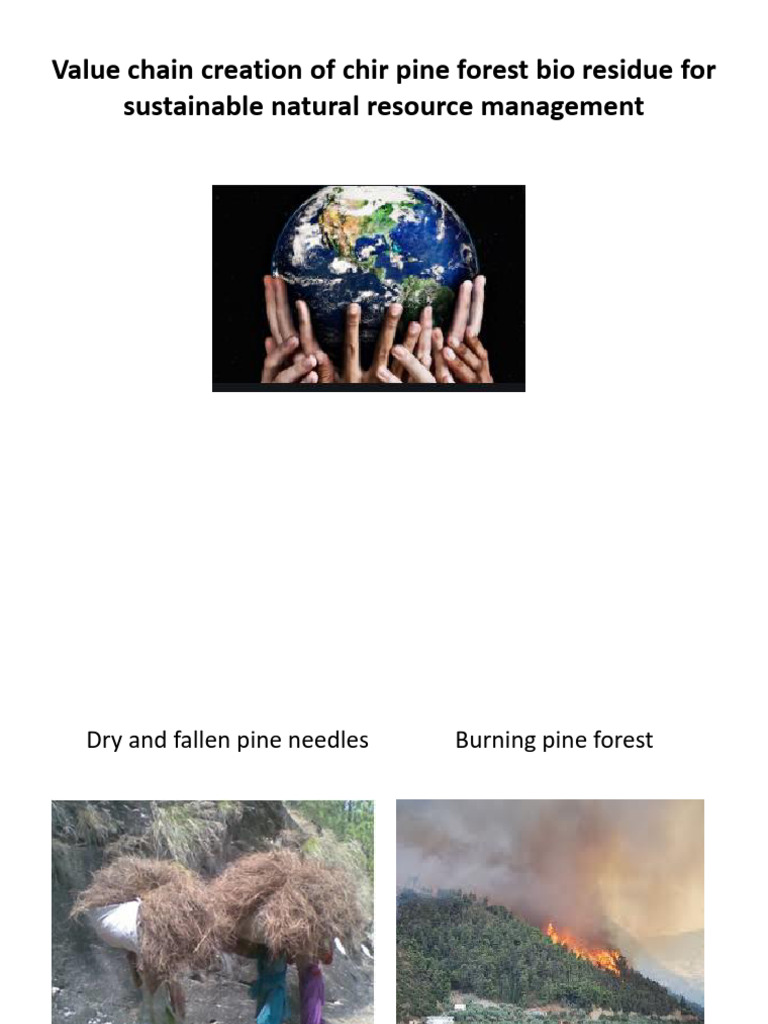 Chir Pine Needle Briquetting Solutions | PDF | Sustainable Technologies