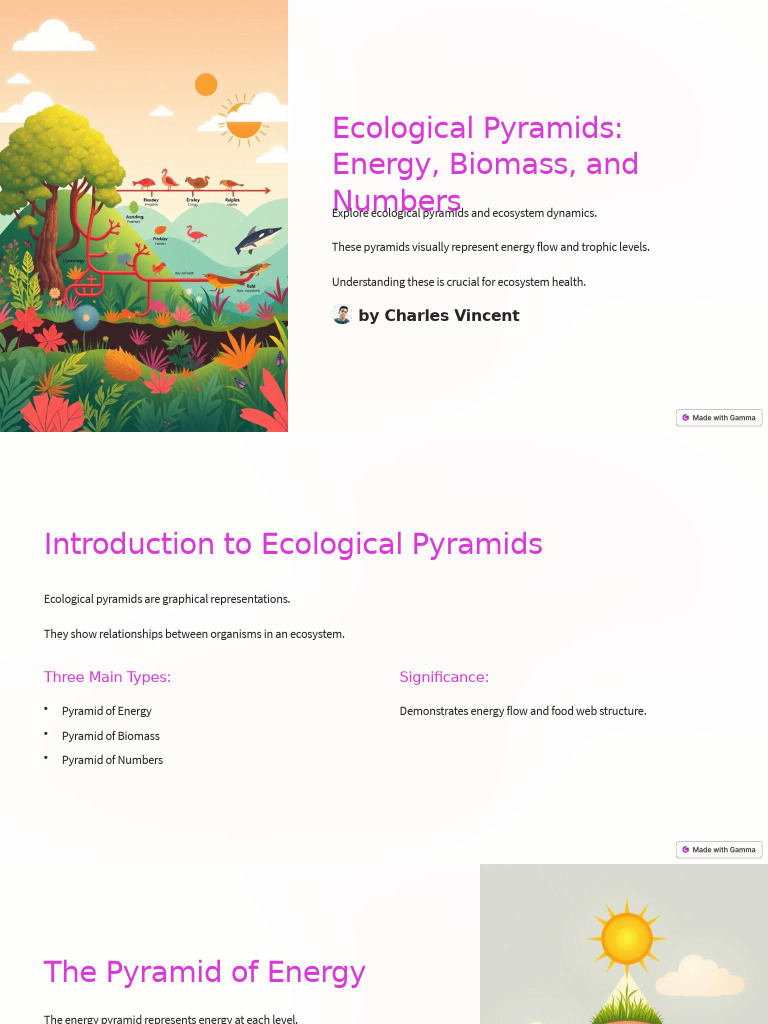Ecological Pyramids Energy Biomass and Numbers | PDF | Biomass (Ecology ...