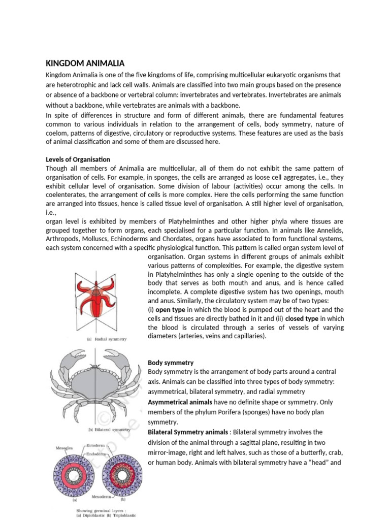 Classification Biology Revisited 123028 | PDF | Sponge | Nematode