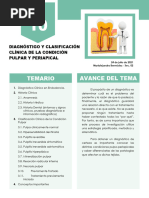Clasificación de Diagnóstico Pulpar Según La AAE | PDF | Medicina CLINICA | Medicina