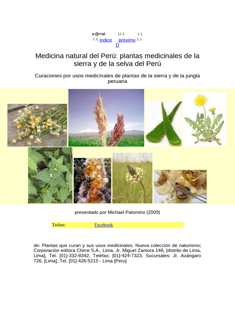 Plantas Medicinales del Perú | PDF | Panes | Leche
