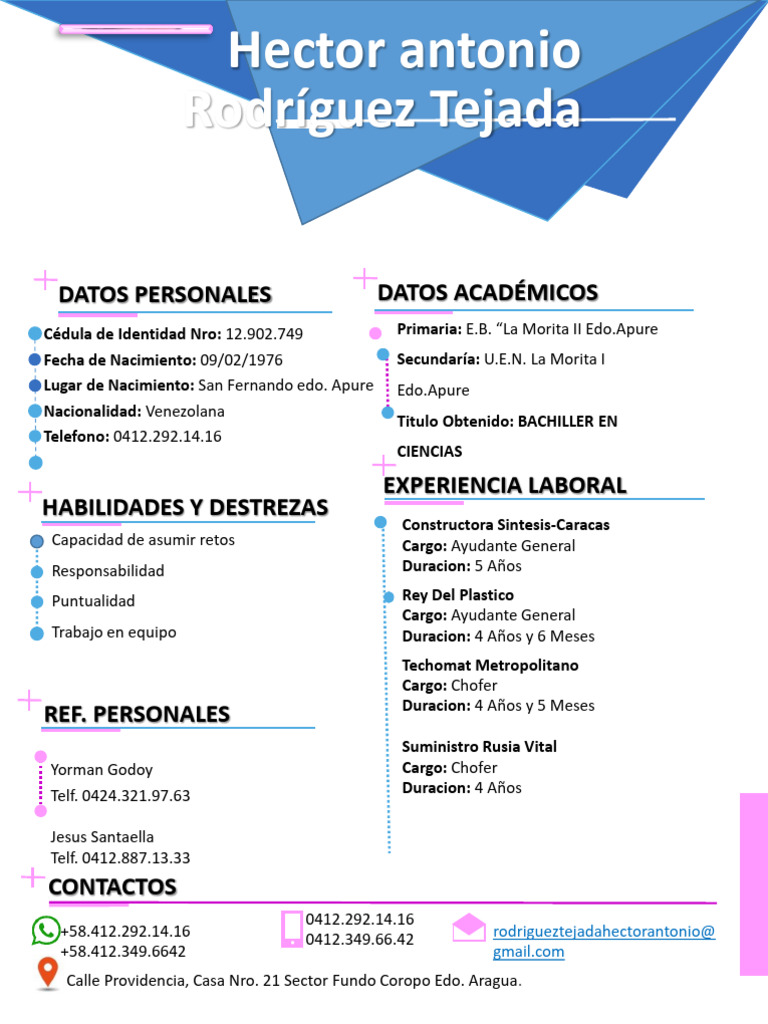 Curriculum Hector | PDF