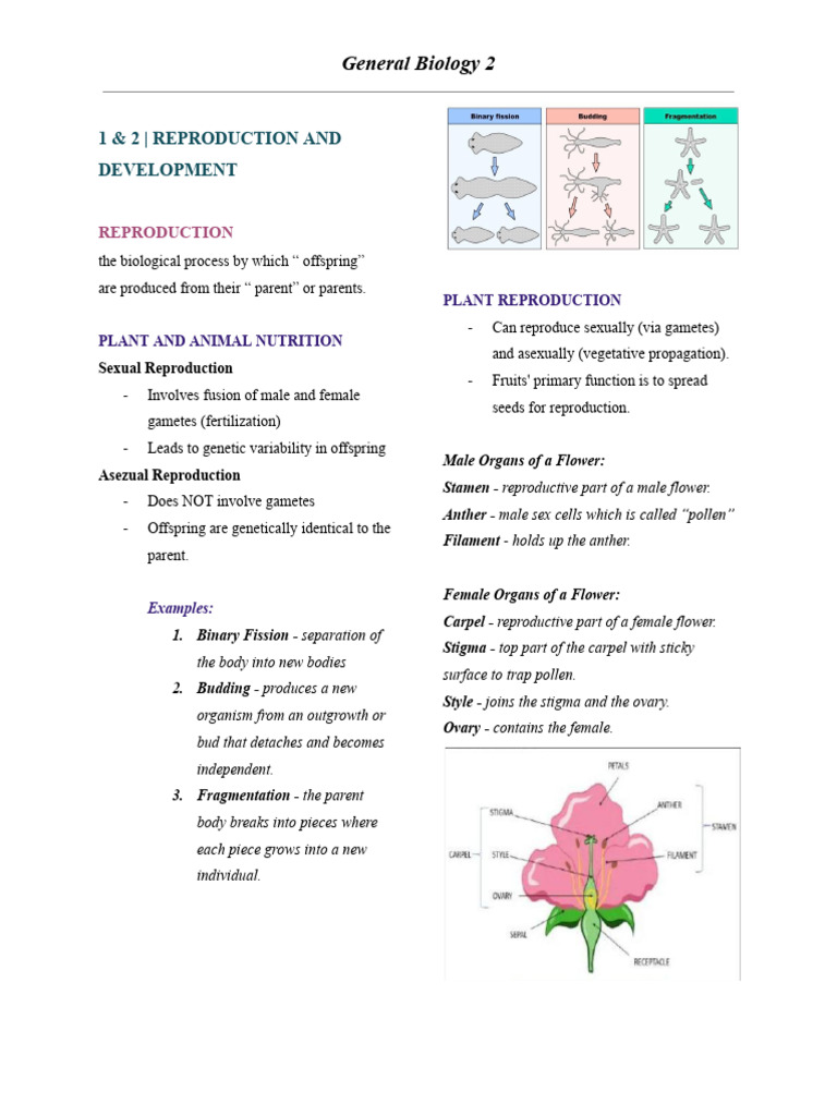 (Final Term) General Biology 2 | PDF | Reproduction | Plant Reproduction