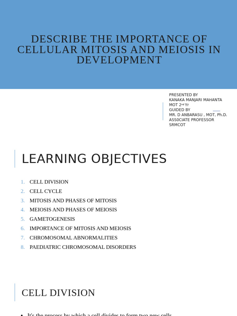 Describe The Importance of Cellular Mitosis and Meiosis | PDF | Meiosis ...