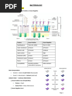 Bacterial Classification Flow Chart | PDF
