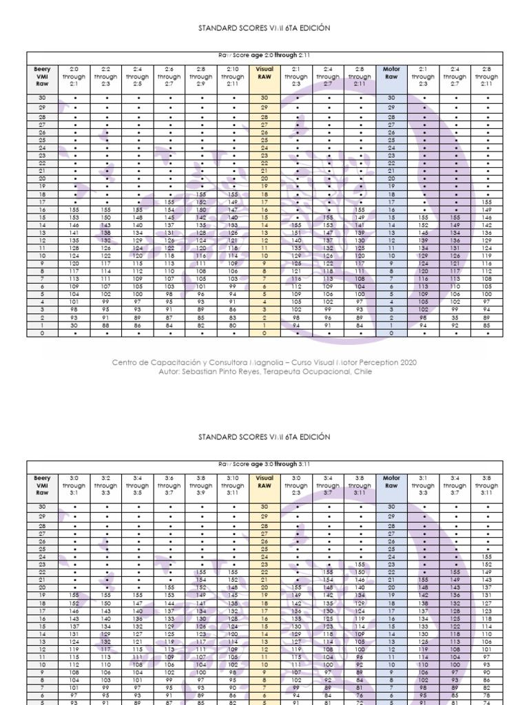 VMI Standard Scores for Ages 2-4 | PDF