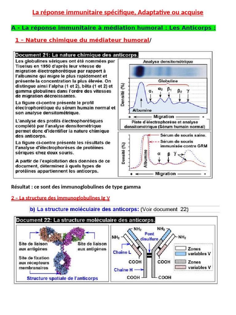 La Réponse Immunitaire Spécifique Ou Acquise | PDF | Antigène | Système immunitaire