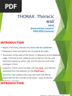 Costal Arch | PDF | Thorax | Thorax (Human Anatomy)