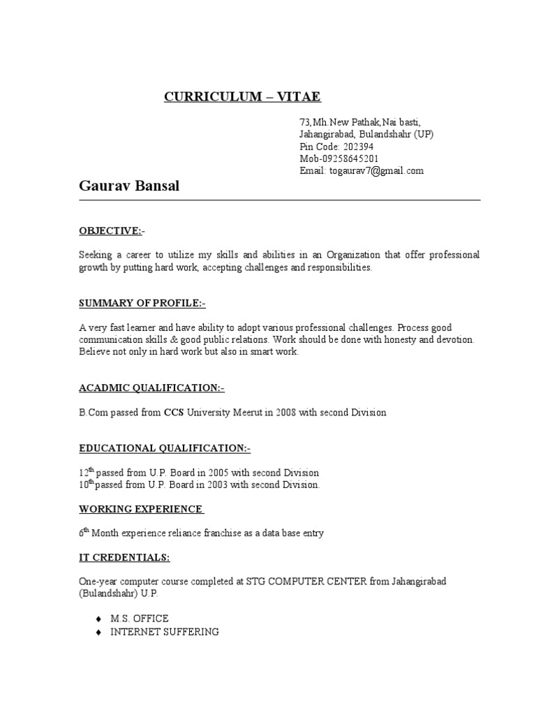 Gaurav Bansal's Professional CV | PDF