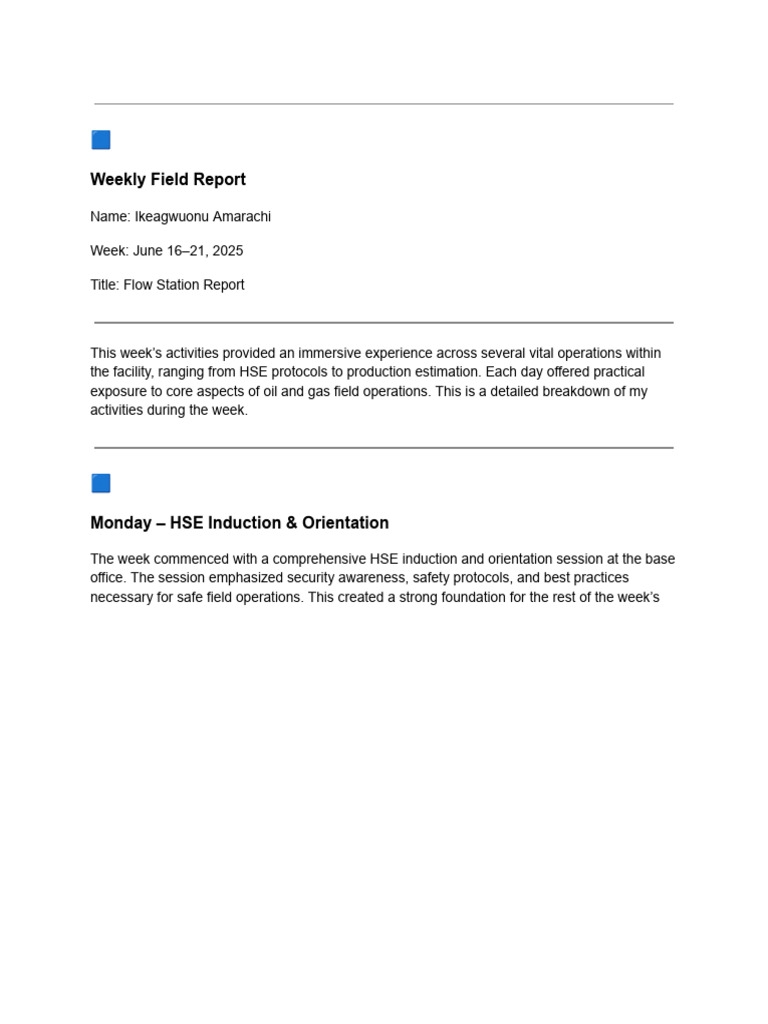 Amarachi's Weekly Report | PDF