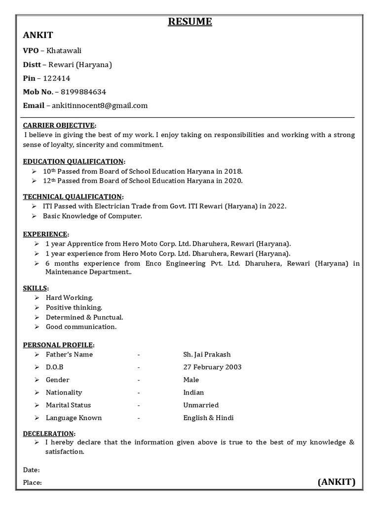 Ankit Maan's Professional Resume | PDF