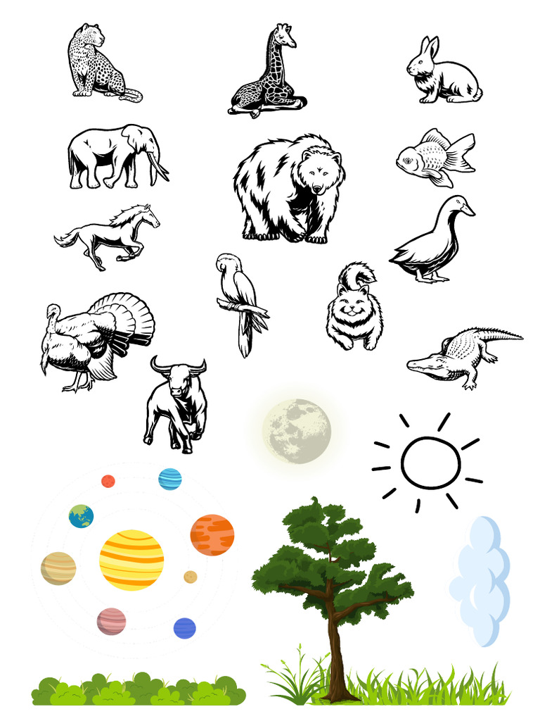 Creation Notebook | PDF