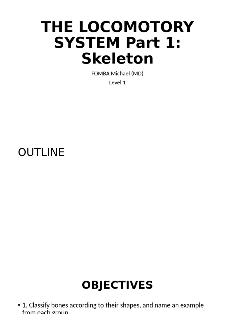 Part 1 The Skeletal System | PDF | Vertebra | Pelvis