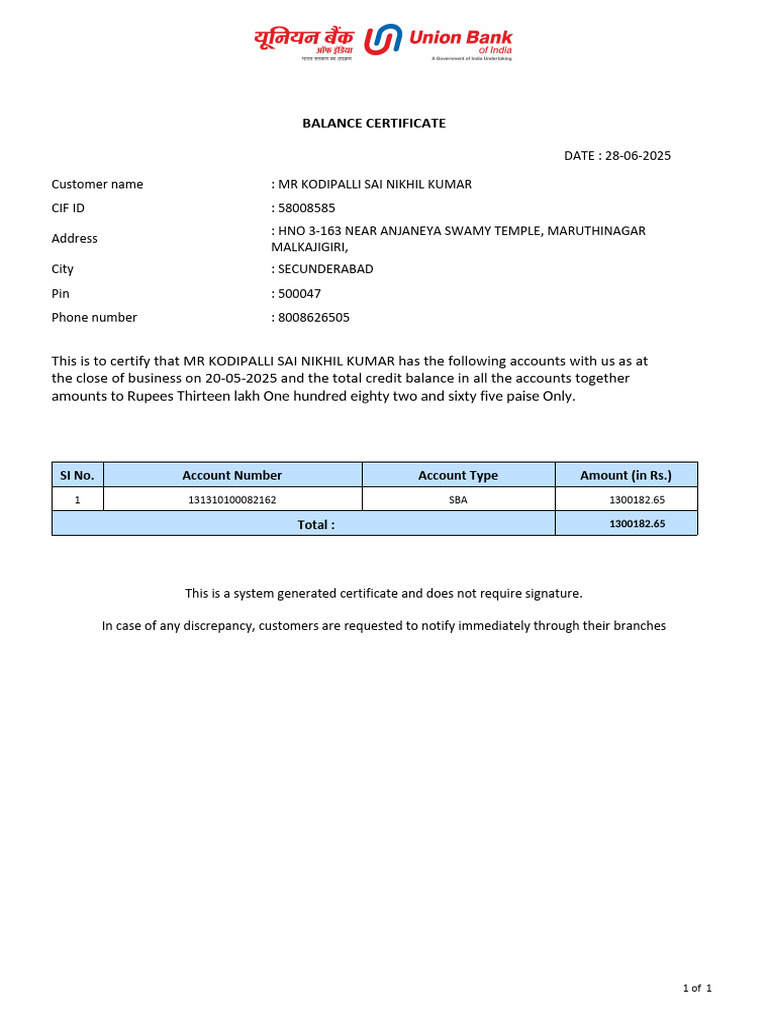 Balance Certificate | PDF
