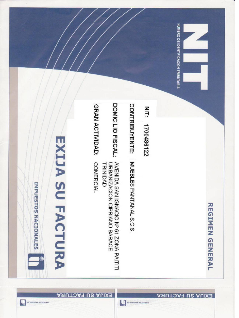 Nit Para Mostrar | PDF