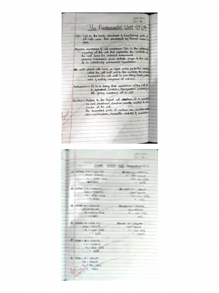 Collage-New Doc 07-01-2025 19.57 | PDF