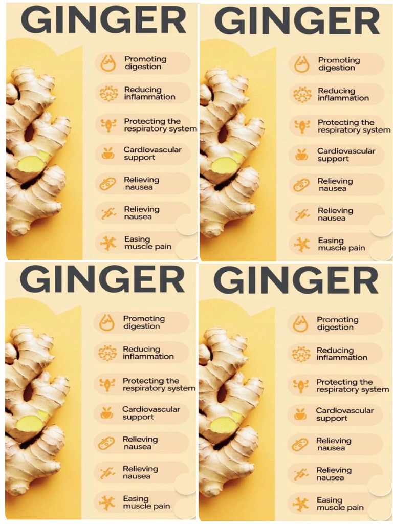 Ginger | PDF