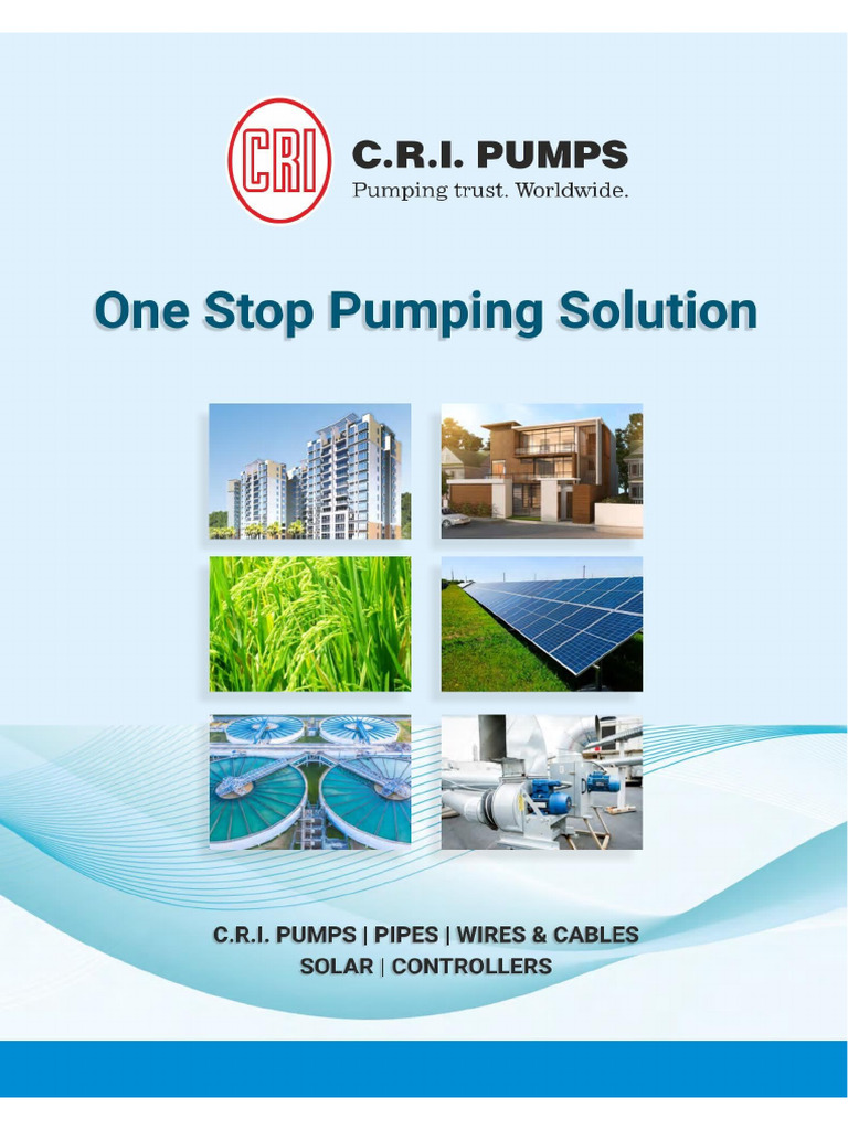 CRI Report | PDF