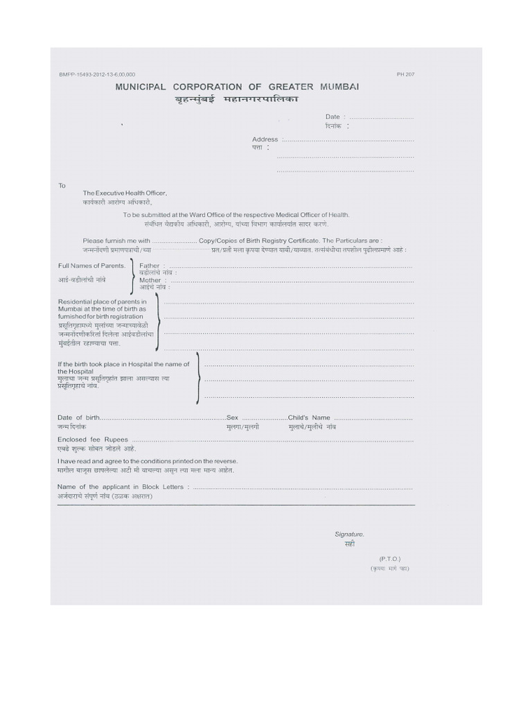 Birth Registration | PDF