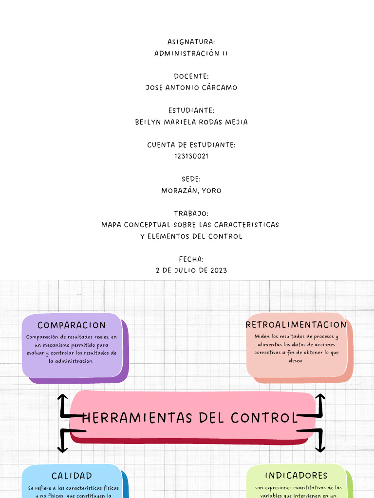 Mapa Conceptual de Control | PDF