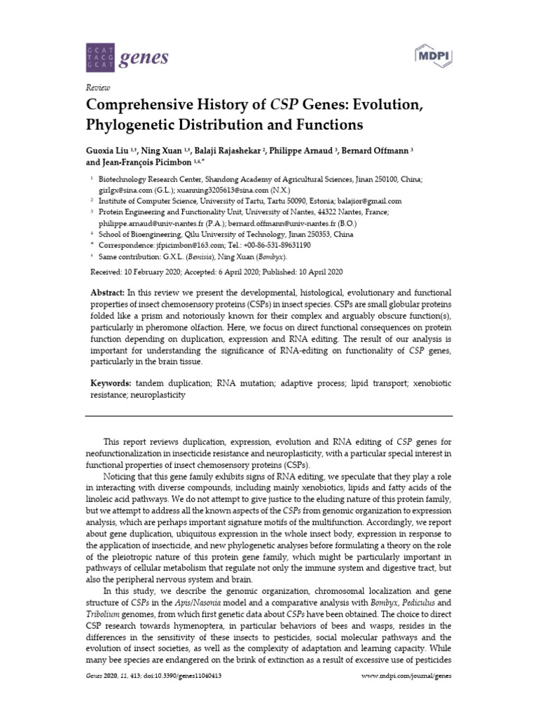 Comprehensive History of CSP Genes Evolution Phylo | PDF | Gene | Intron