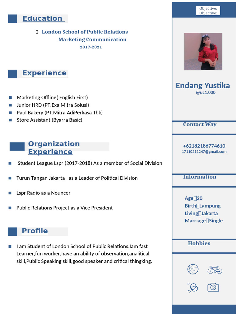 Marketing Communication Resume Summary | PDF