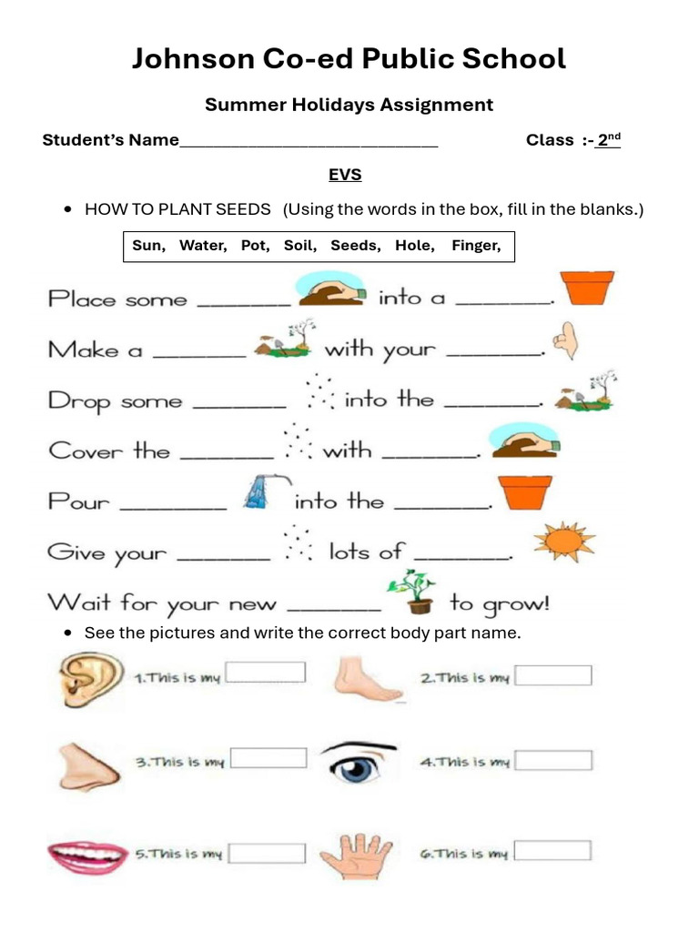 Holiday Assignment 1 | PDF